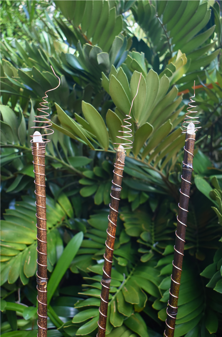 Electro culture rod 80cm – New Earth Products Australia