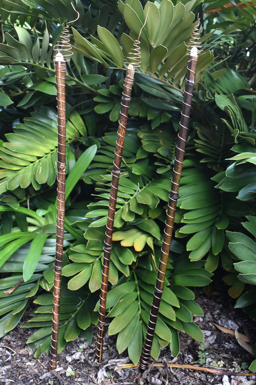 Electro culture rod 80cm – New Earth Products Australia